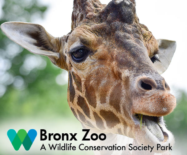 PEF Membership Benefits Program